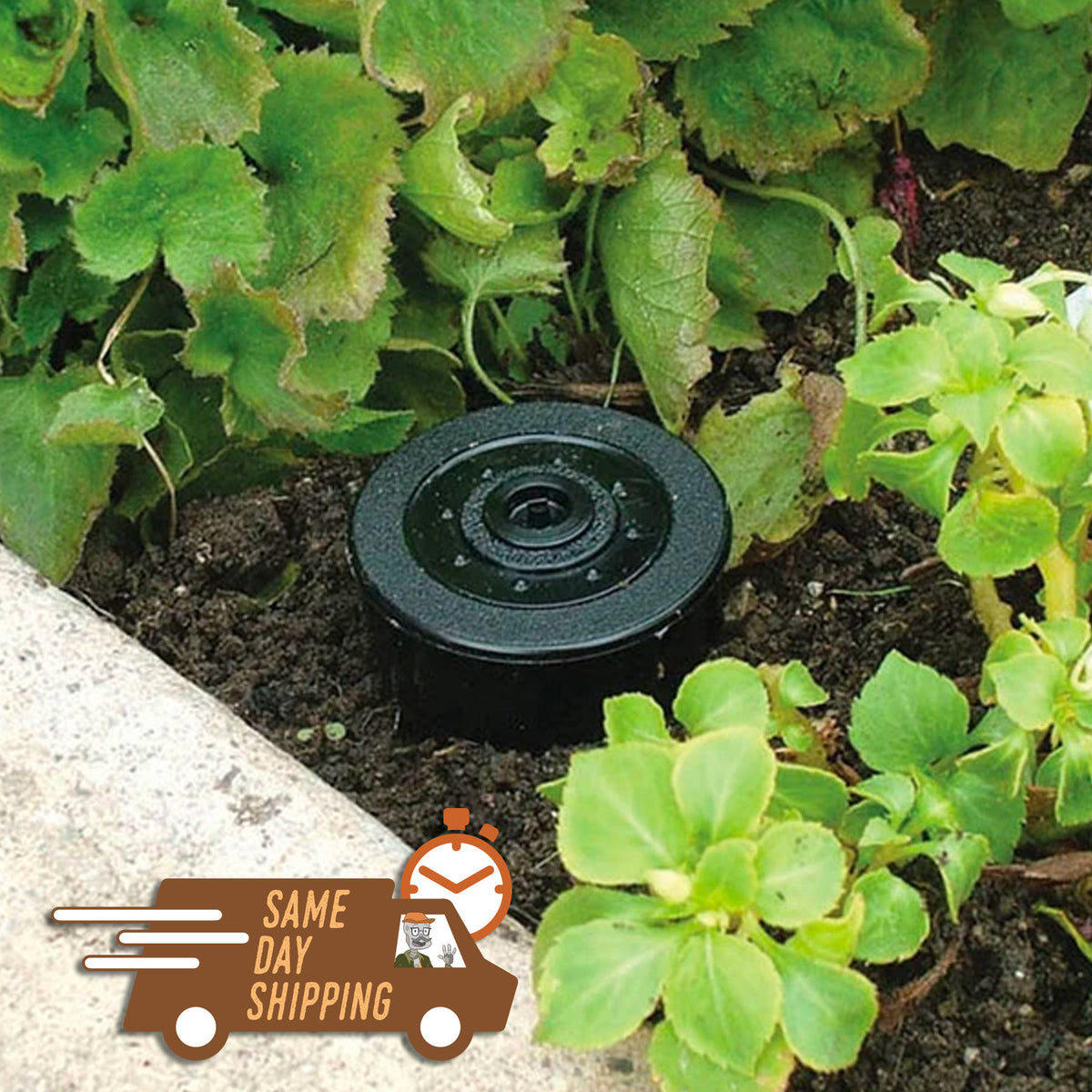 Sprinkler Key Hider | Thingamabobs Shop | Lucky Line – Lucky Line